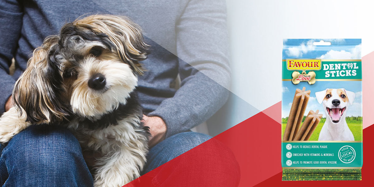 Solv-X – Smart Solutions – Solv-X